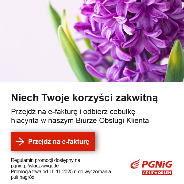 eBOK PGNiG - Załatw wszystko online!